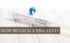How Much Is A DNA Test? Costs For Ancestry, At-Home Testing, & More ...